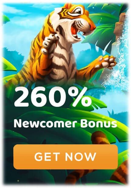 Lucky Tiger Casino Bonuses